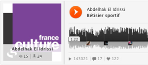 (MAJ) On ne peut pas être bon en tout : la preuve en audio