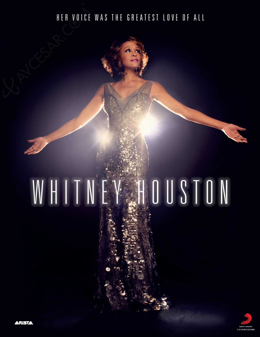 Whitney Houston Live : Her Greatest Performances