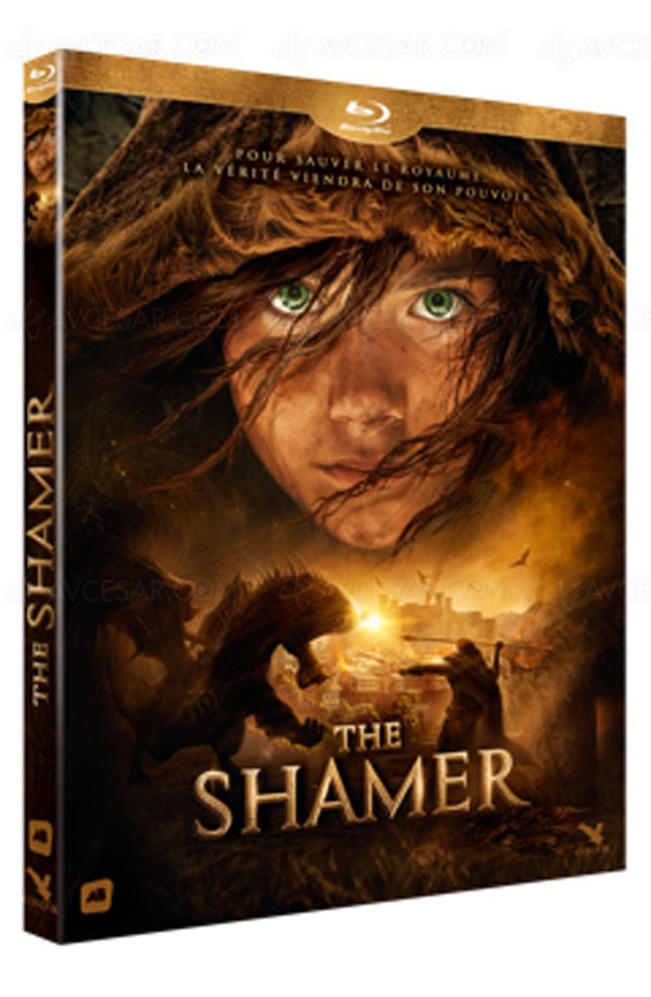 The Shamer