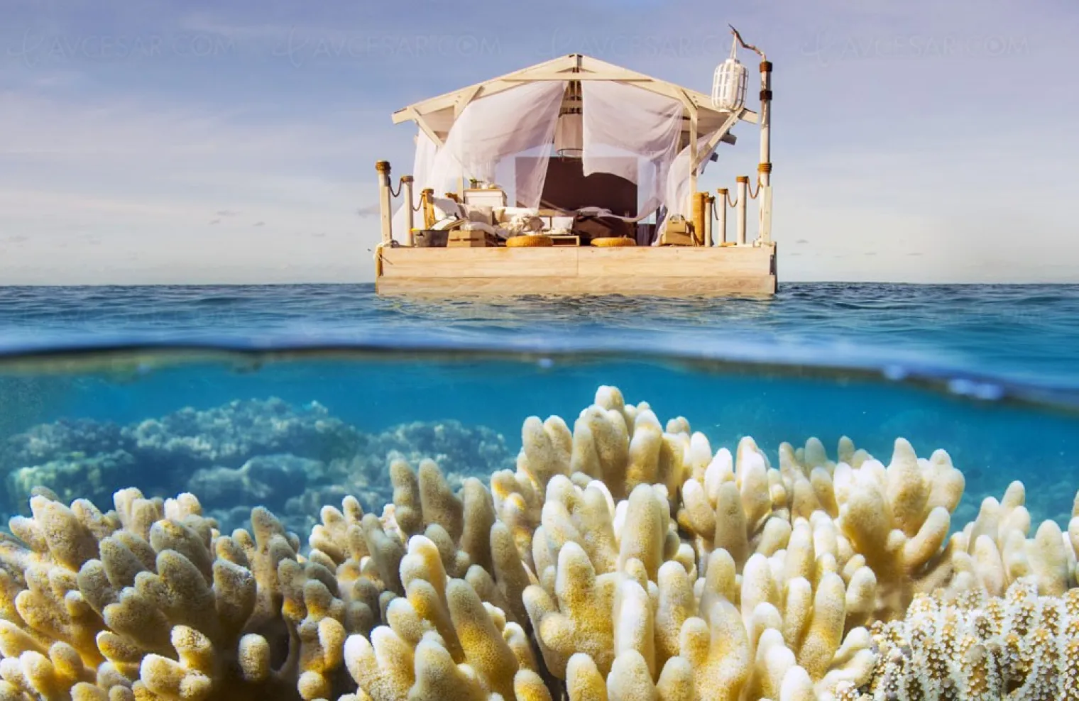 Une nuit cadeau sur la grande barrière de corail