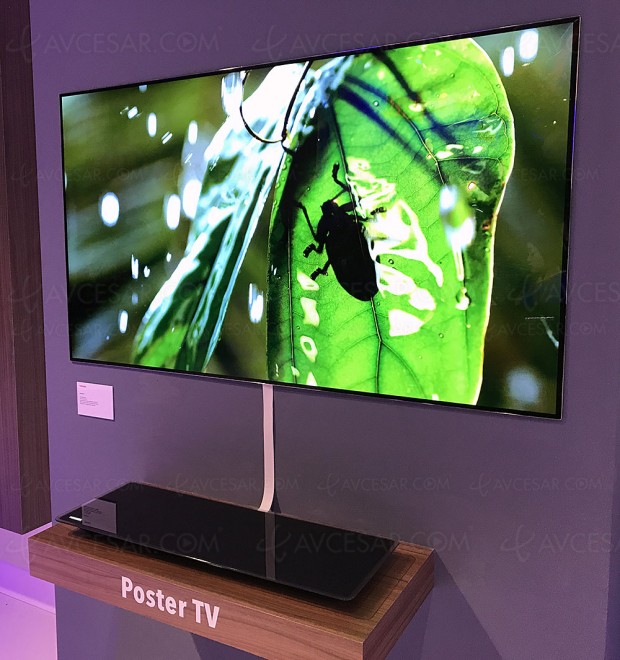 IFA 17 > Encore un concept TV Oled Wallpaper signé Toshiba avec le ...