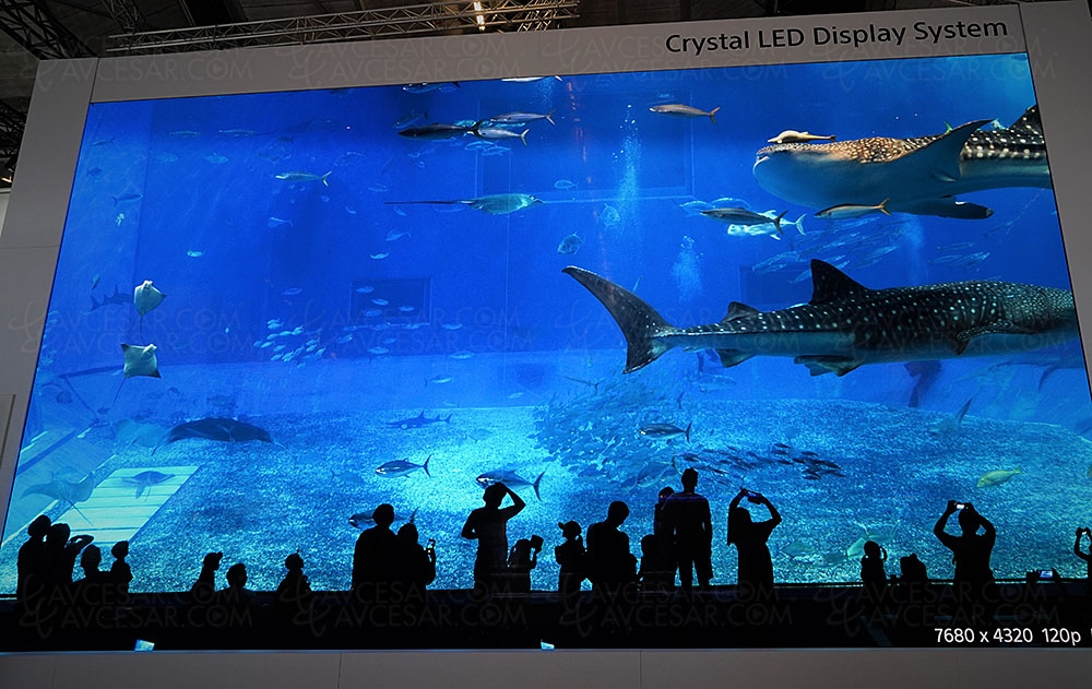 Sony Crystal LED (Cledis) 8K ISE 2019 : démos 8K et 120 images par seconde