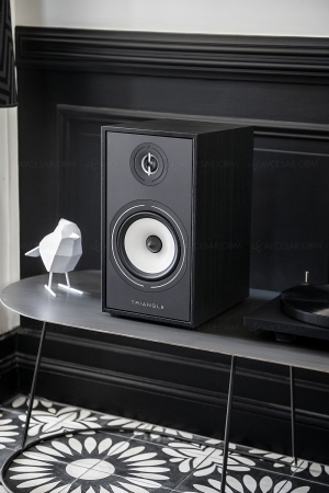 Triangle BR03 Connect